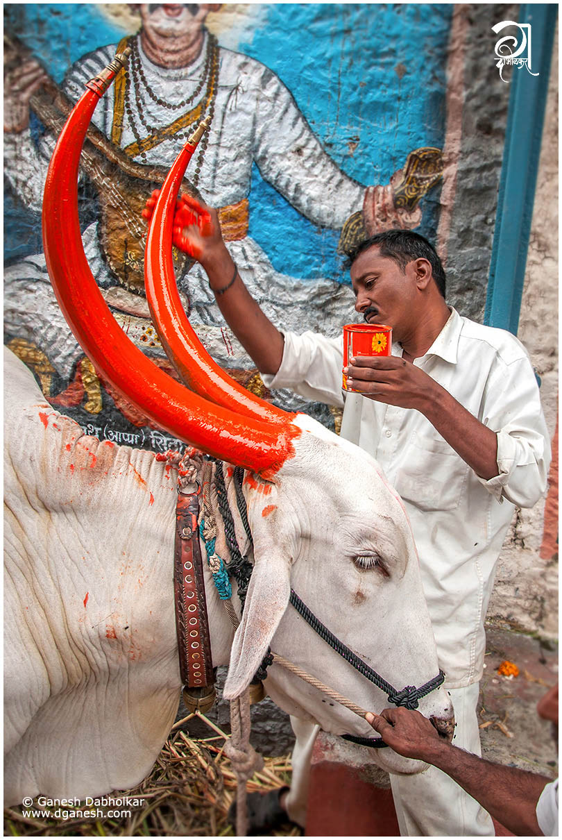 Pandharpur Wari!